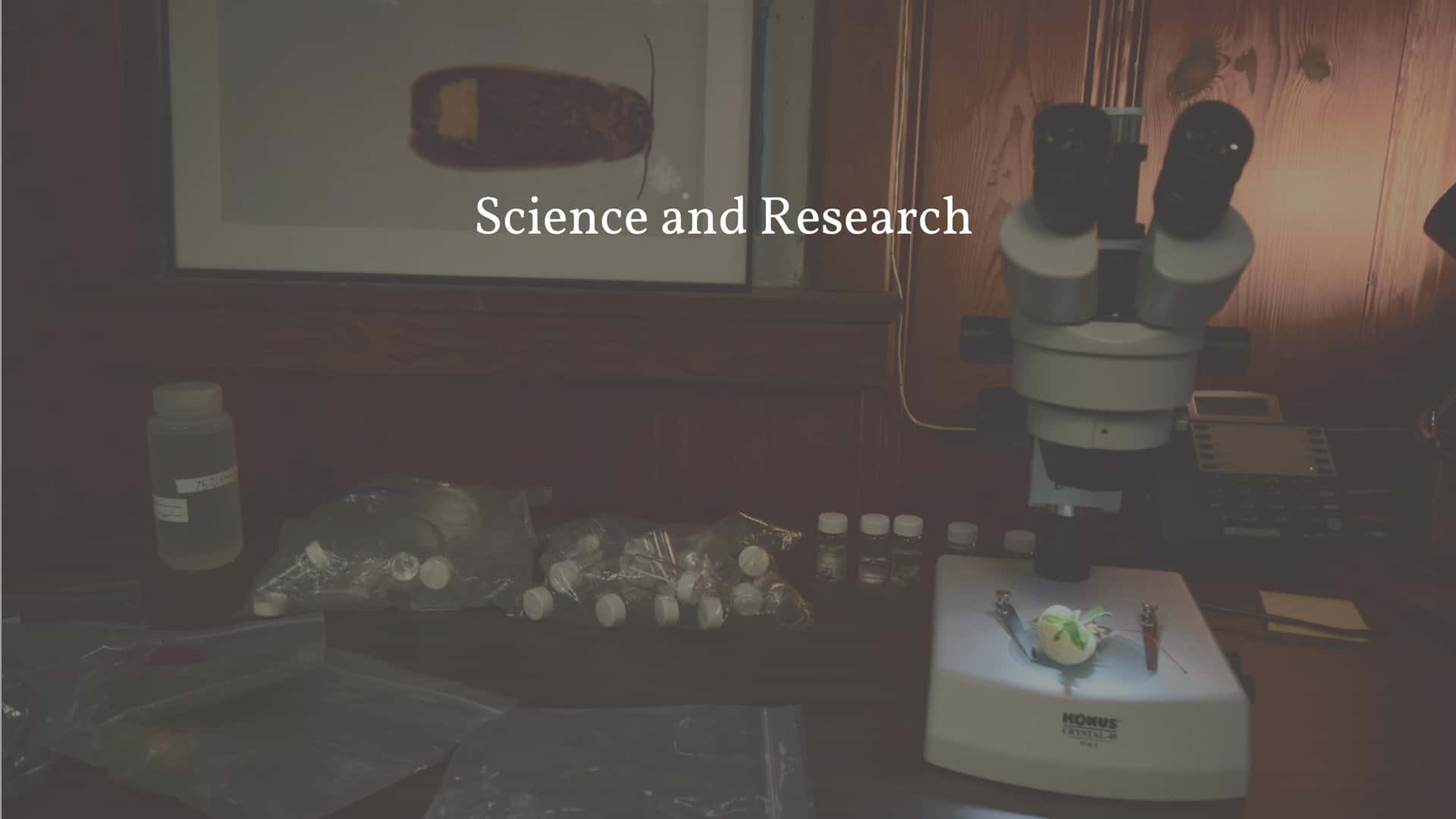Science and Research - Discover Life in America