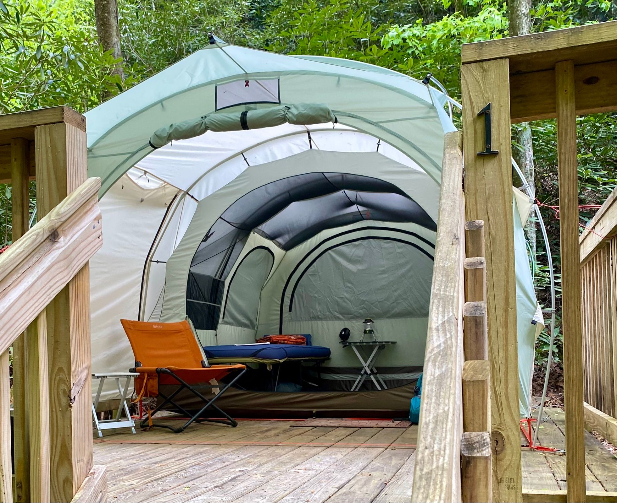 Great Smokies Eco-Adventure: Oct 27-29 - Discover Life in America