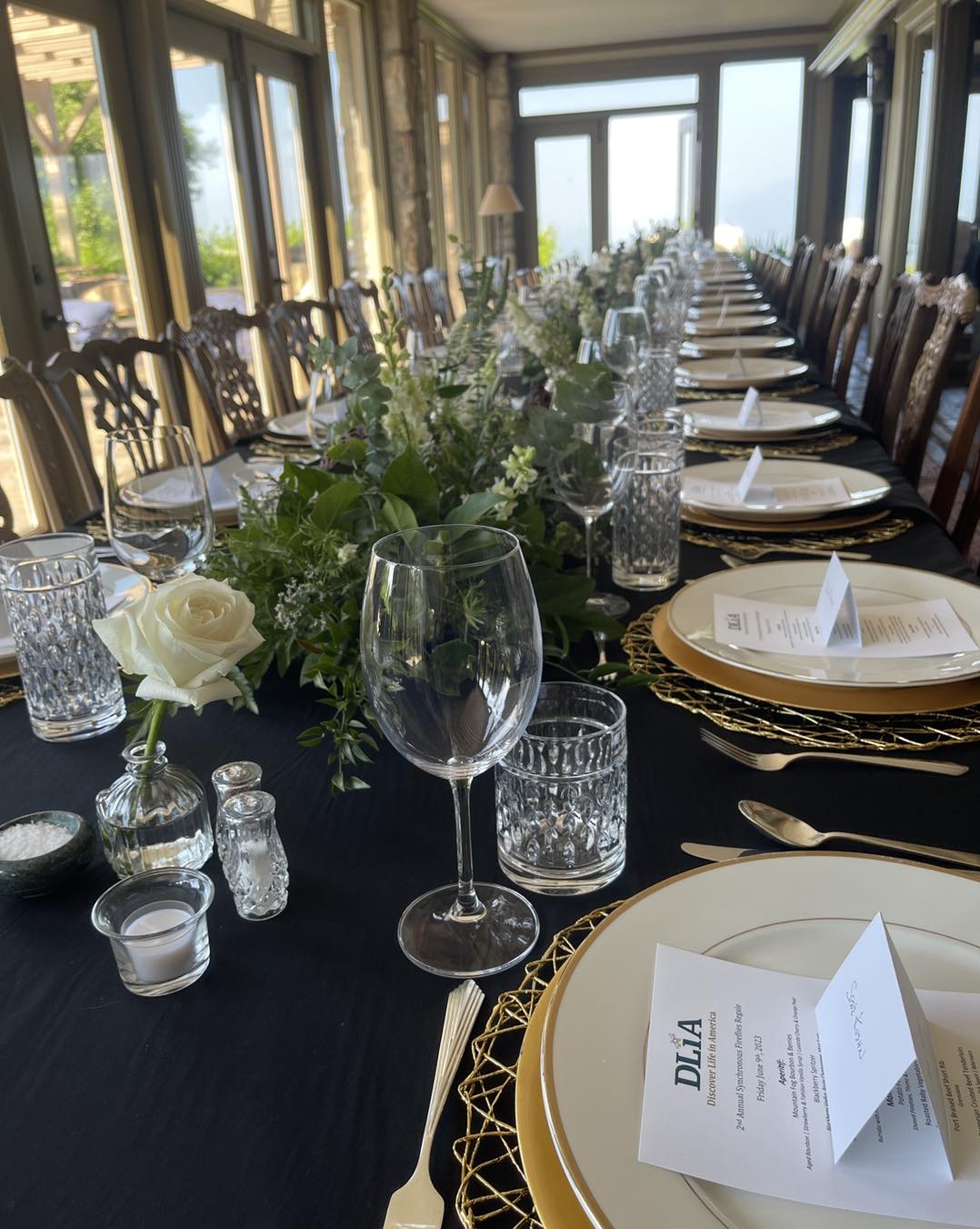 Fireflies at Norton Creek: Candlelight Dinner - Discover Life in America