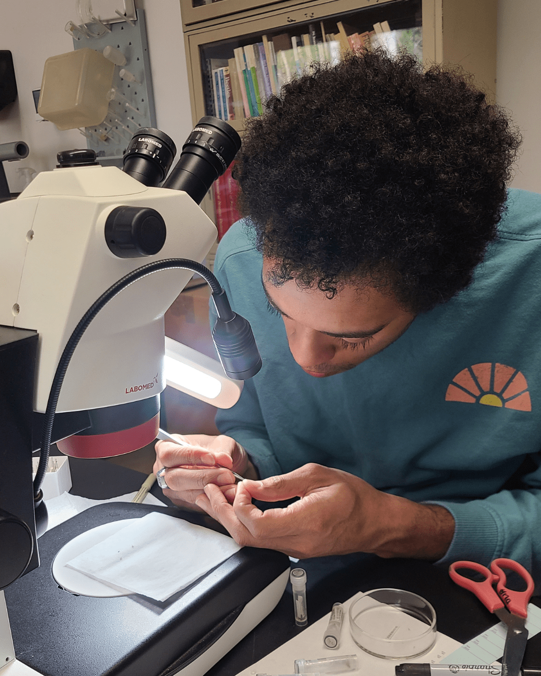 All Taxa Biodiversity Inventory - Discover Life in America