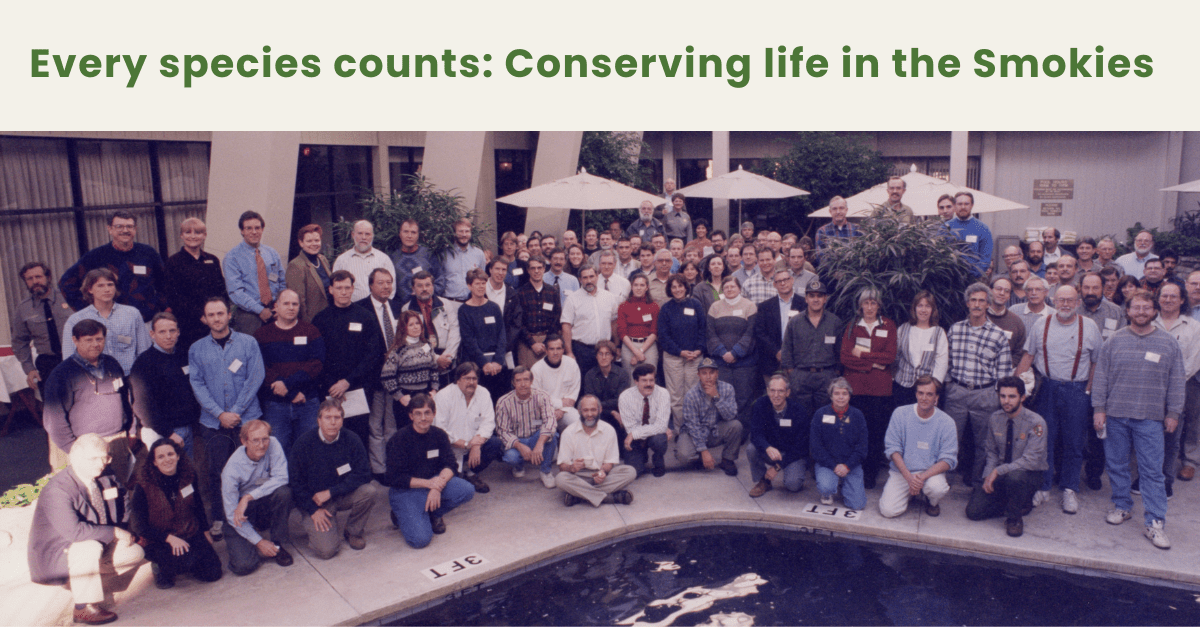 Every species counts: Conserving life in the Smokies - Discover Life in ...